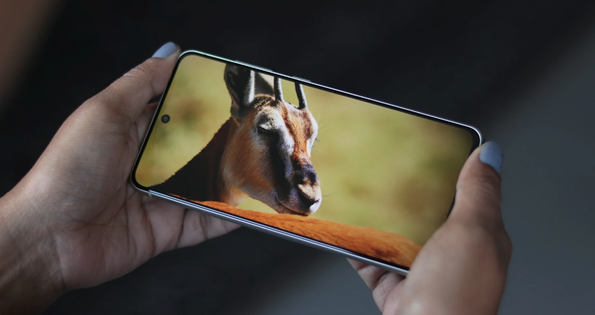 抱歉粉丝们：Galaxy S21 FE 在 One UI 6.1 更新中没有获得任何 Galaxy AI 功能 |TePhone特锋手机网